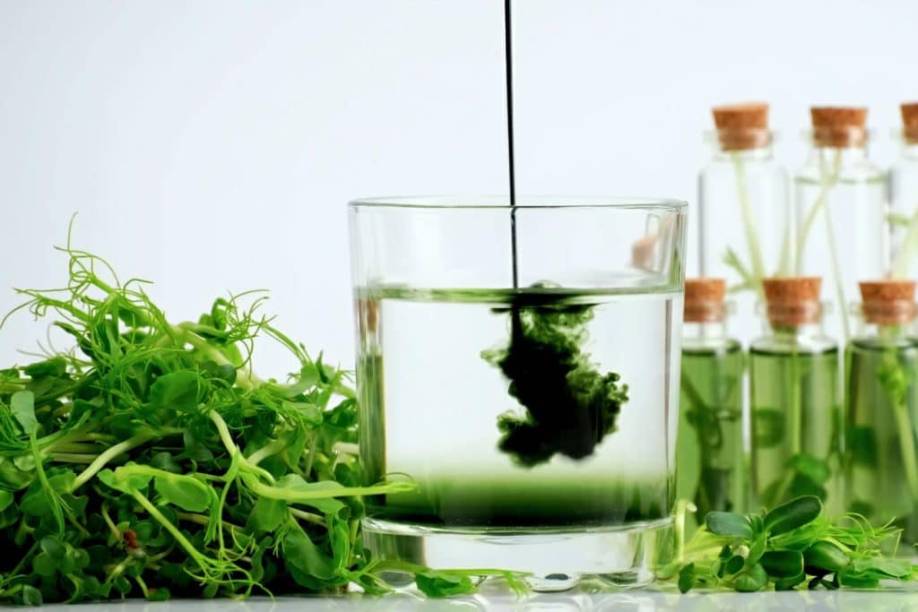 A découvrir prochainement - Sipal